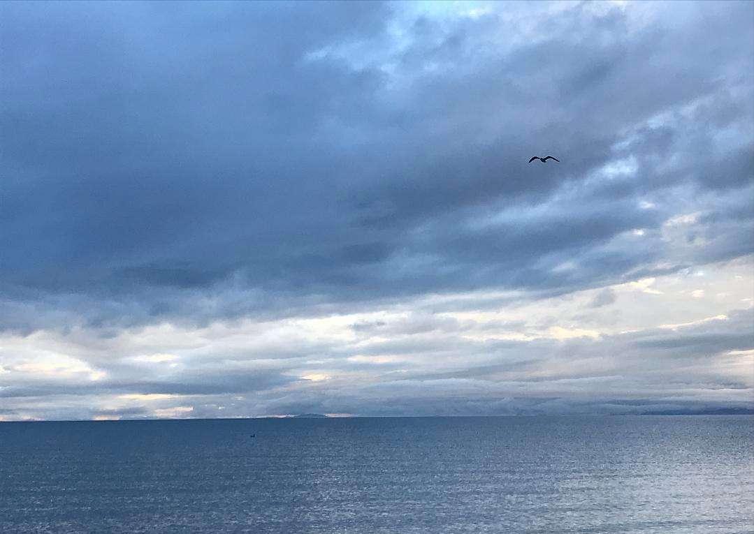 Chen Ziang: Invincible is so lonely - iNEWS