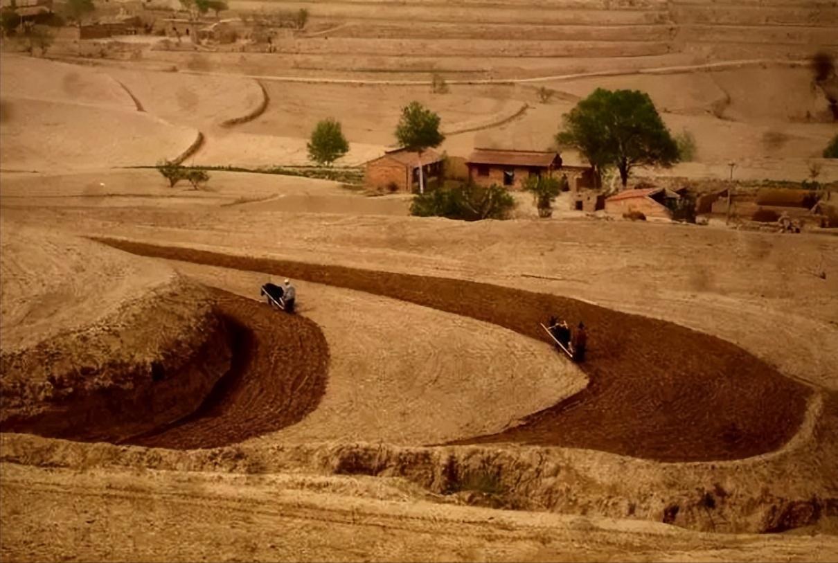 Wang Liu: The Rhythm of Folk Songs in Northern Shaanxi - iNEWS