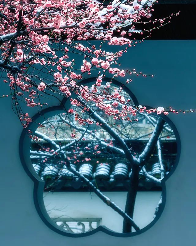 20 wonderful adjectives with extraordinary writing skills, absolutely ...