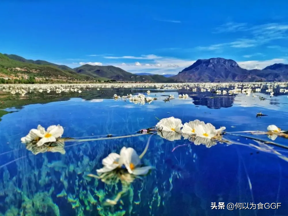 Traditional ingredients and food culture of Mosuo people by Lugu Lake - iNEWS