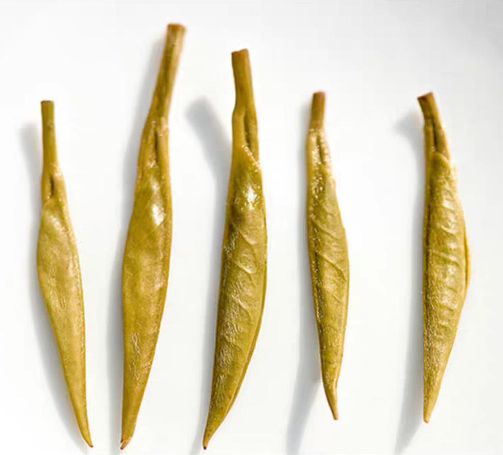 Yellow bud tea Junshan silver needles -- Roots of silver needles are ...