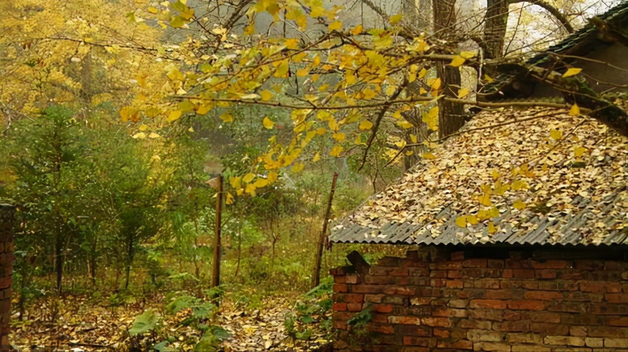 Wang Anshi's 2 unpopular poems, beautiful inscriptions, sparkling after ...