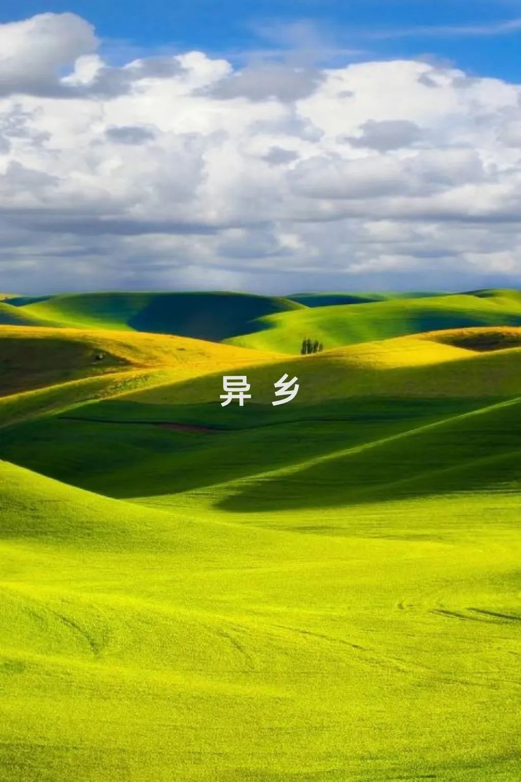 Writer Youzi Huang Youzhong's "Foreign Land" Prose Poem Collection ...