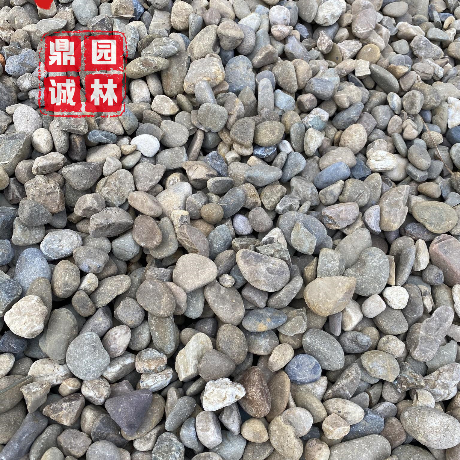 Does natural pebbles refer to naturally formed pebbles? - iNEWS