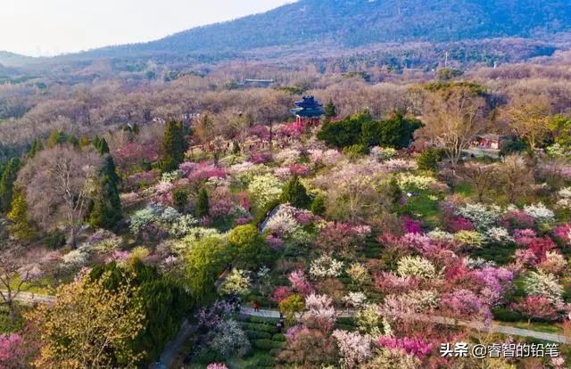 In 1946, Chiang Kai-shek secretly bombed Wang Jingwei's tomb and opened ...