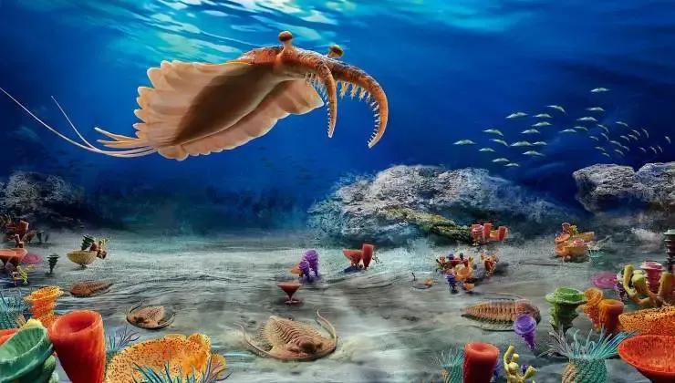 Evolutionary Explanation for the Cambrian Explosion - iMedia