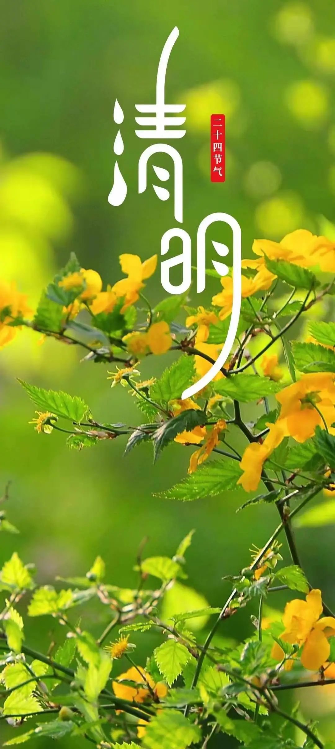 Qingming solar term and traditional Chinese medicine - iNEWS