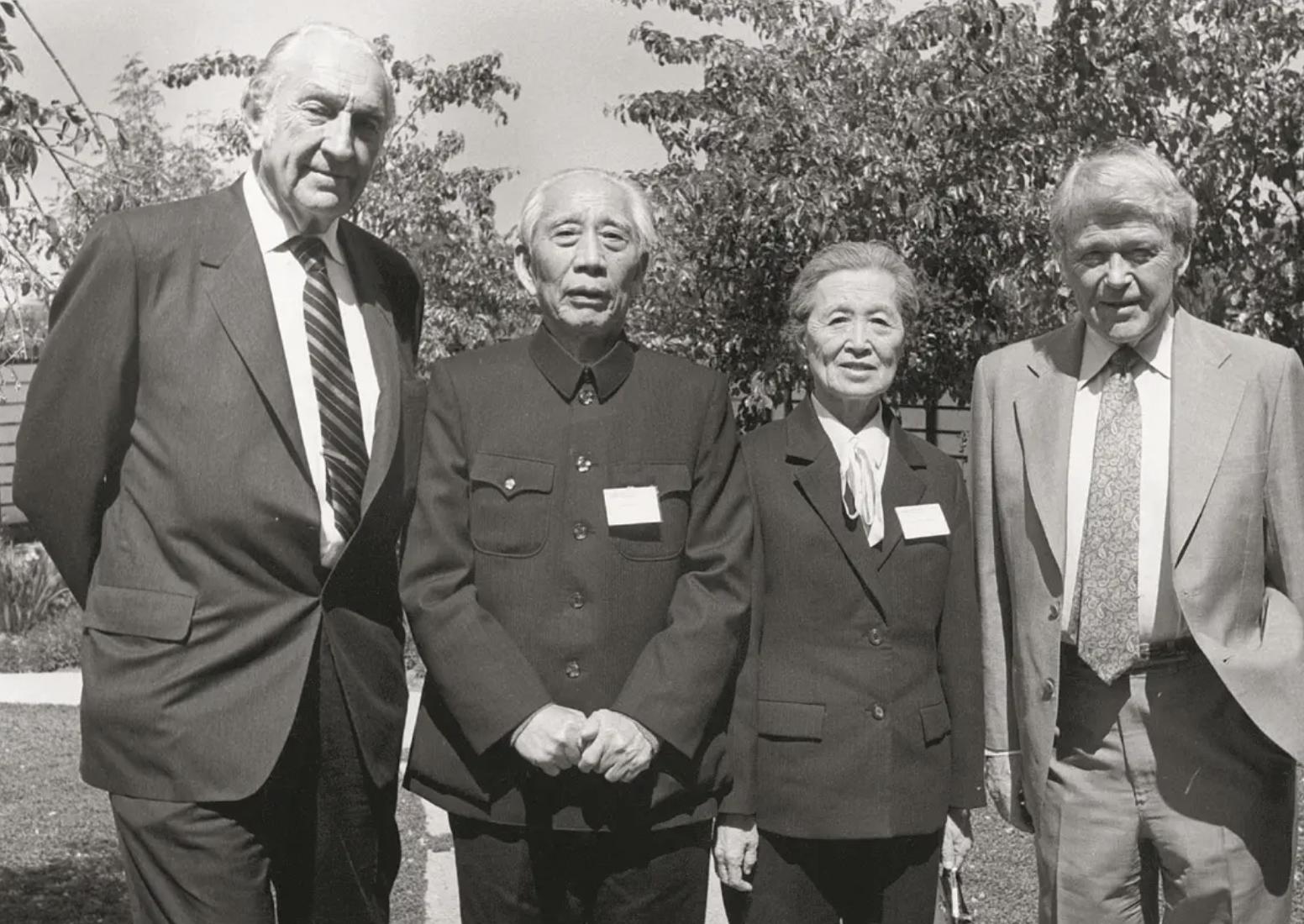 Comrade Wang's pattern - iMedia