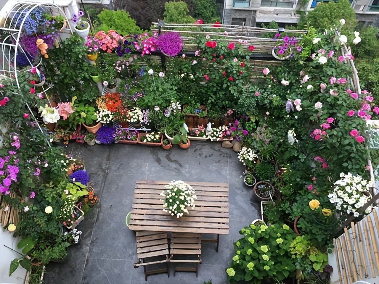 There is a yard at home, do not plant 8 kinds of "rogue flowers", they ...