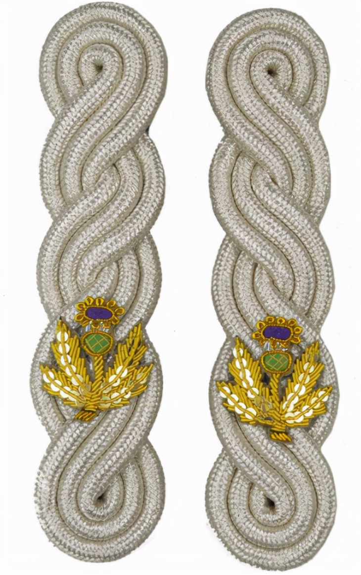 The badges of the British Army's dress are varied. Have you learned to ...