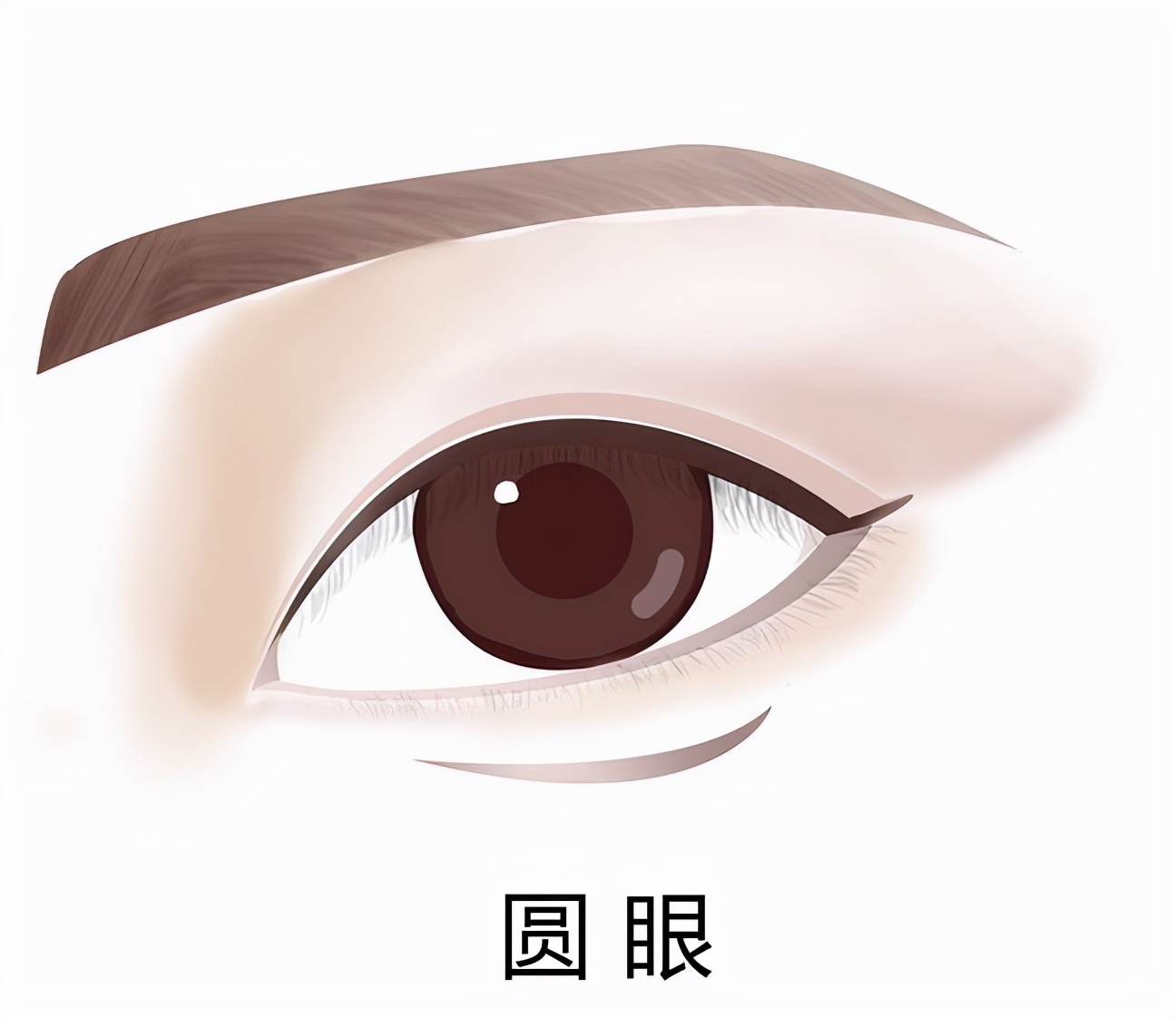 10 common eye shapes in China, which one are you? - iMedia