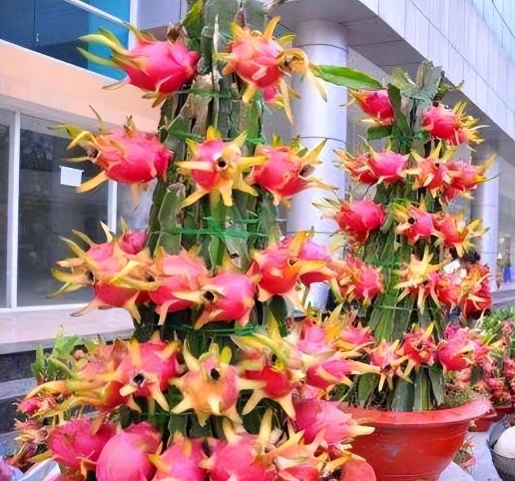 Bury these "3 kinds" of fruit pits into the soil, and it can be a ...