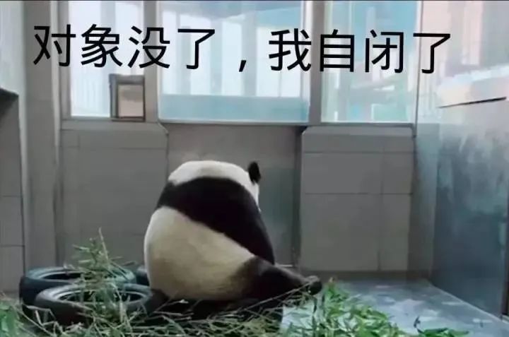 Two girlfriends, one "transgender" and one "change heart", the giant ...