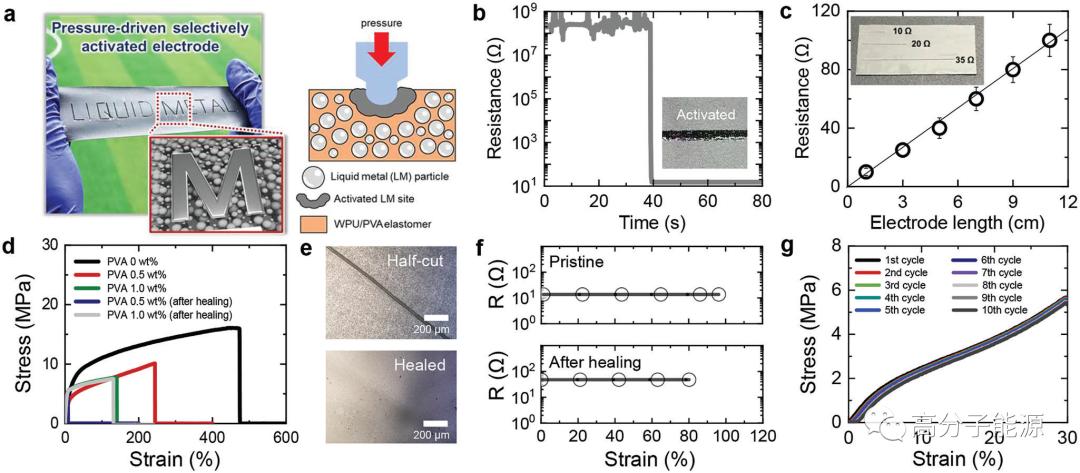 sharp! ! AEM: Fully self-healing electrodes based on zwitterionic ...