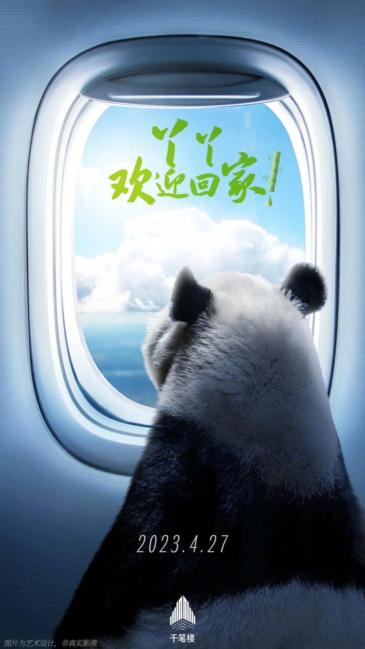 Yaya, the American panda who has been away from home for 20 years, has ...