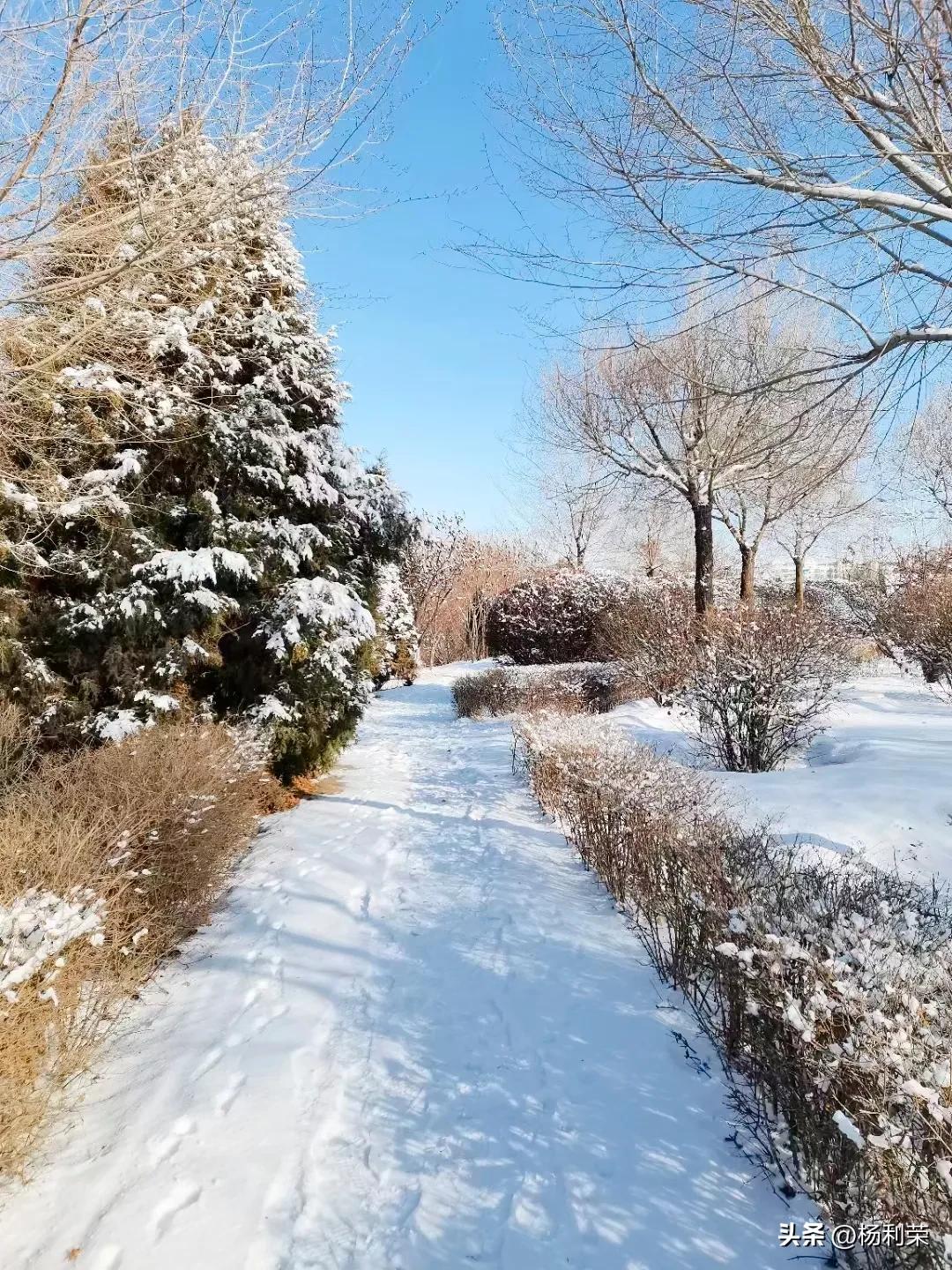 Three Poems of Seven Wonders·Saibei Chunxue - iNEWS