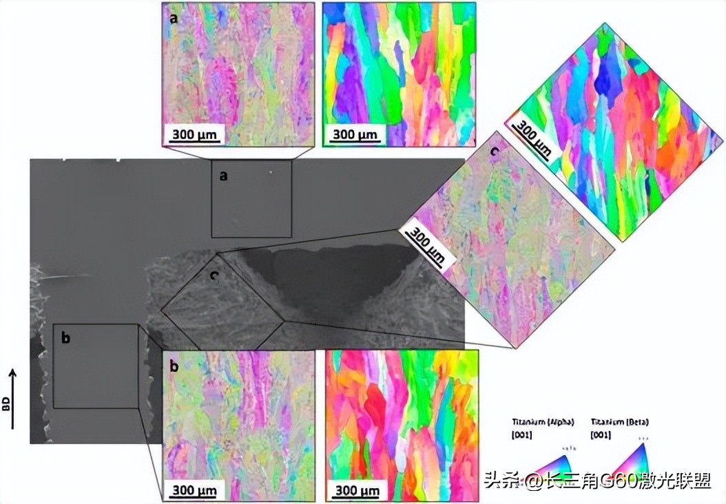 Coarsening of Multi-Generation Twin Martensite in Laser Added Ti6Al4V ...