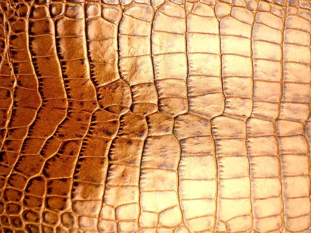 Reasons and how to care for hard leather - iMedia