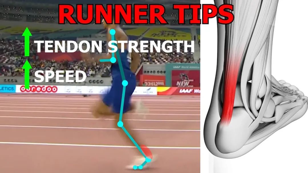 This muscle plays an important role in a person's sprinting ability - iNEWS