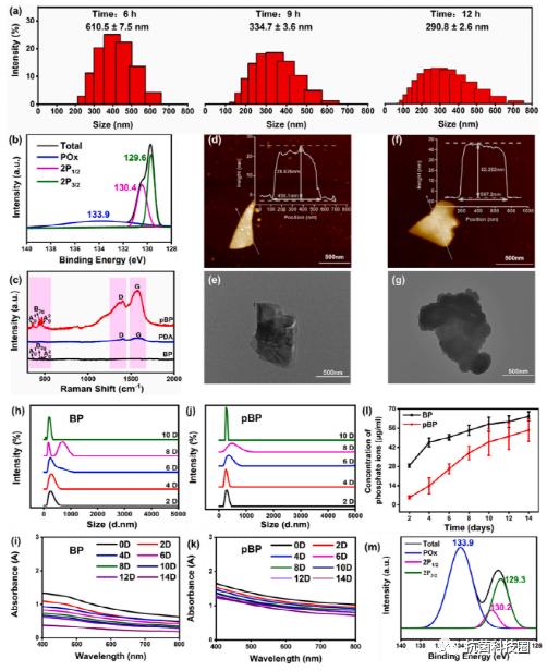 Mussel-inspired multifunctional hydrogel coatings for antitumor therapy ...