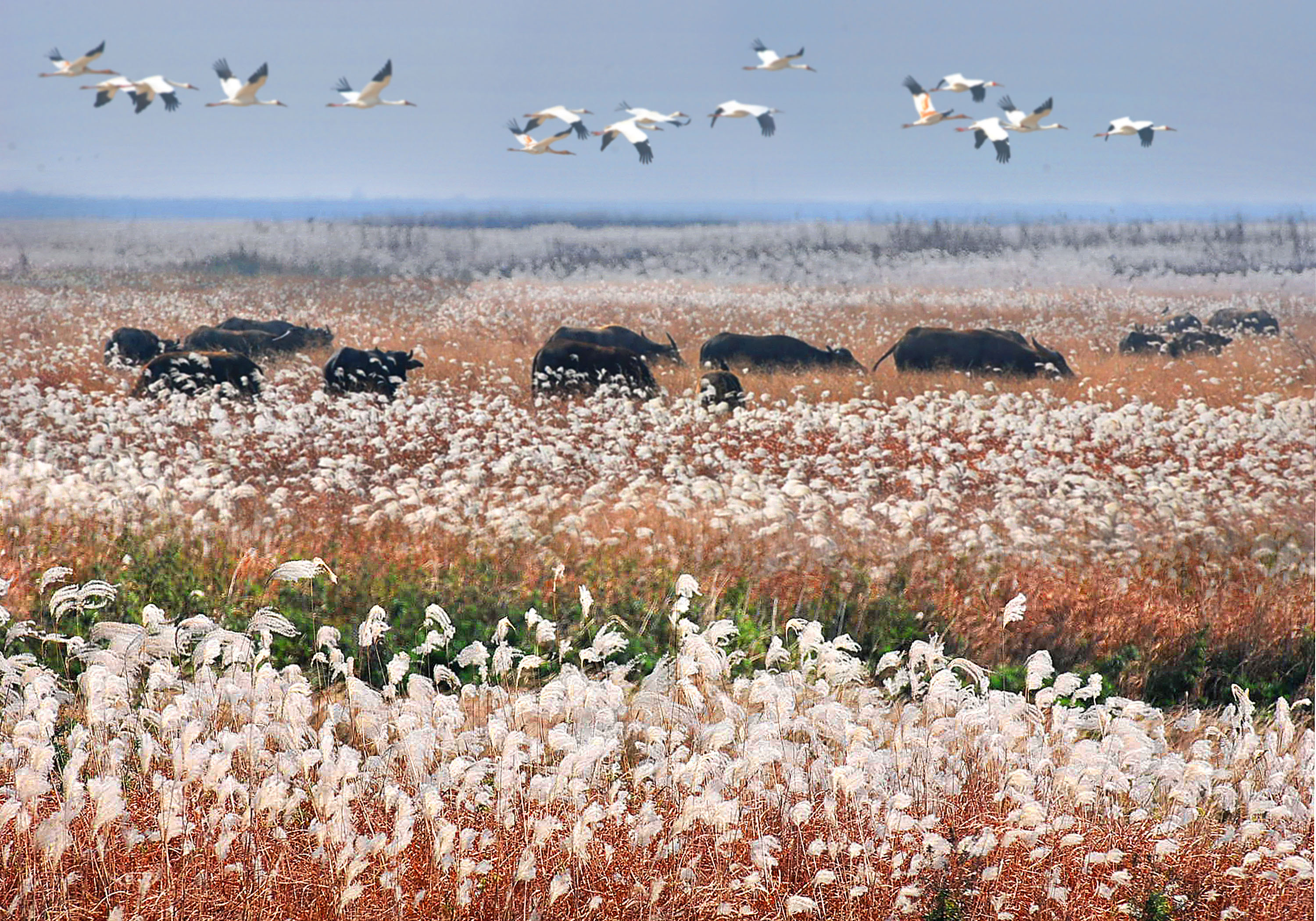 Wucheng, the ancient town of Yongxiu, a thousand-year-old town in ...