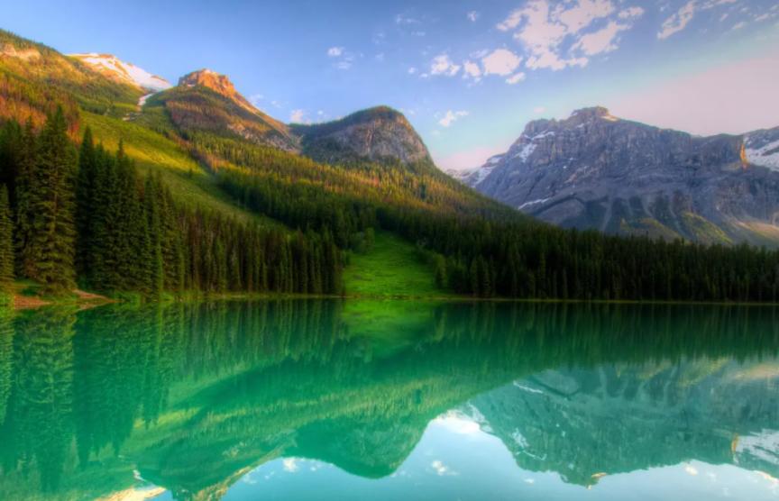 what is ipa signature? - iMedia