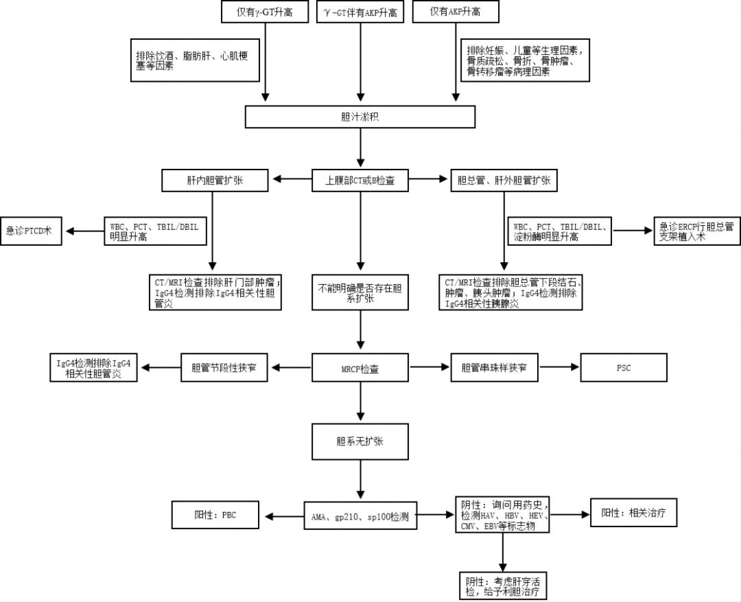 Prof Jianrong Huang Interpretation Of Expert Consensus On Diagnosis