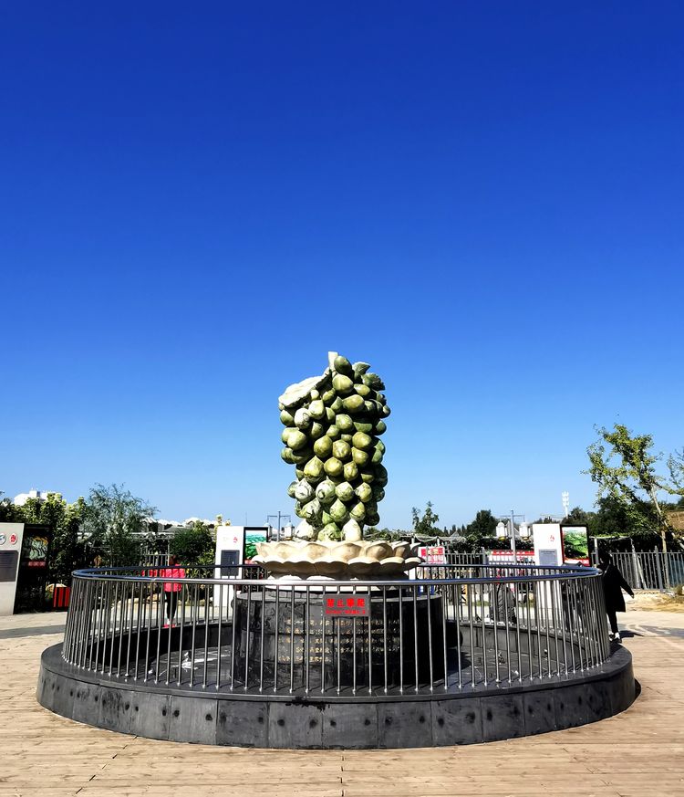 Tour Lotus Grape Town - iMedia