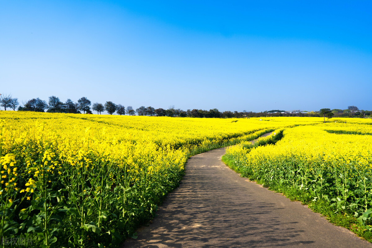 Nanjing Gaochun Travel Guide - iMedia