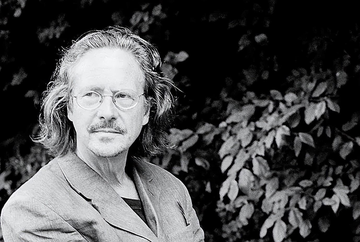 Describing the Presentation of Reality and Perception in Peter Handke's ...