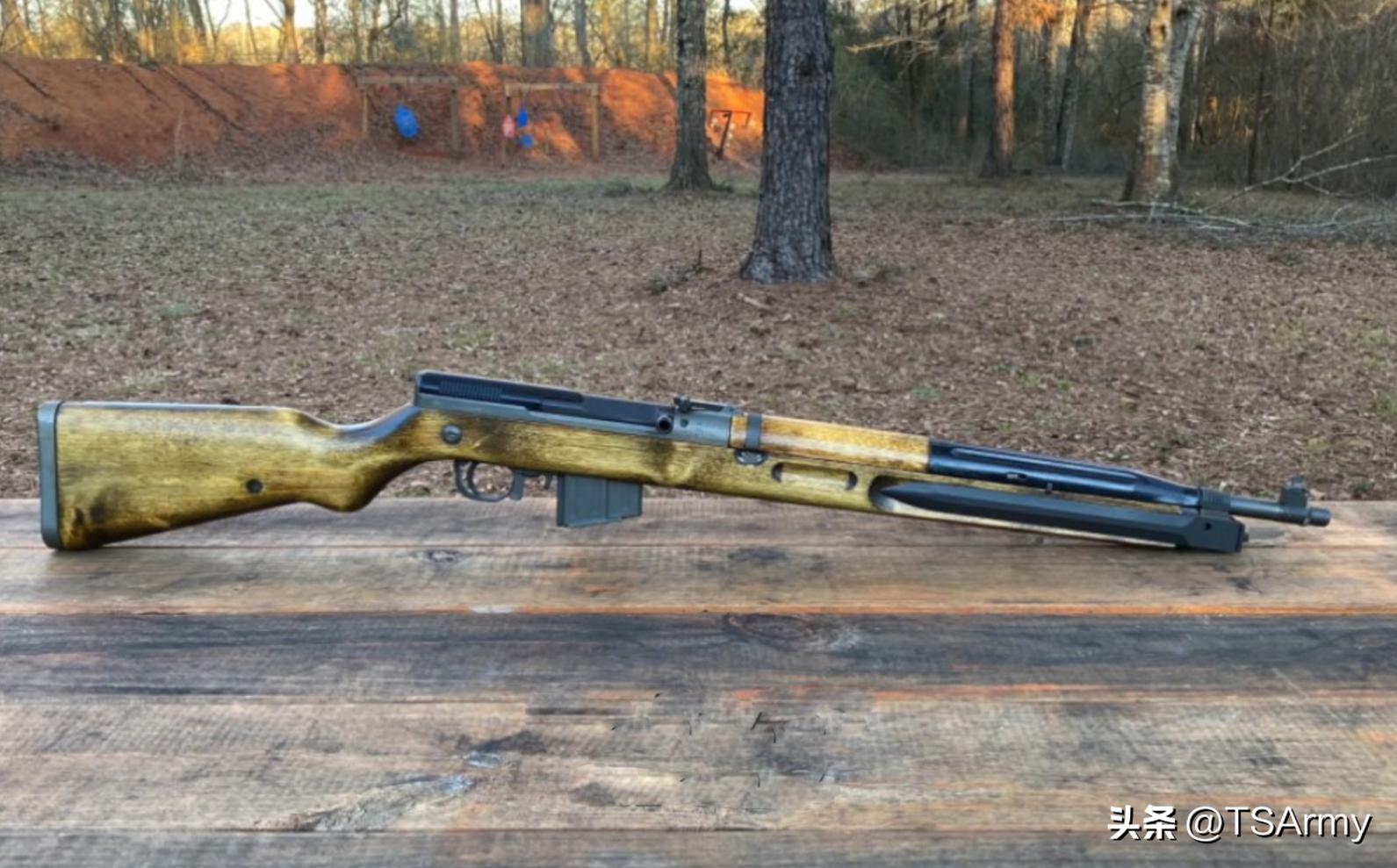 Inventory of 31 semi-automatic rifles in the world, most of which are ...