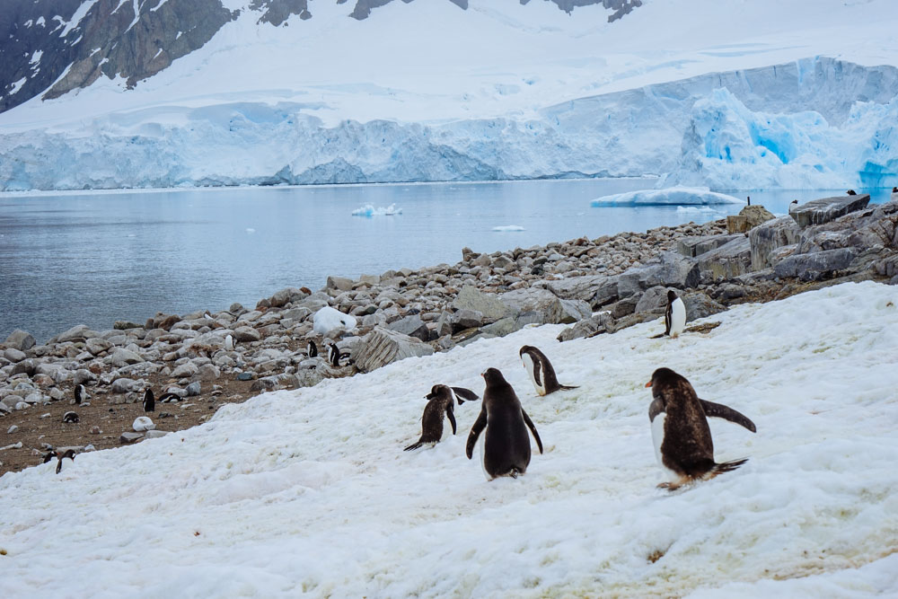 A place farther than Western Paradise, the end of the world, Antarctica ...