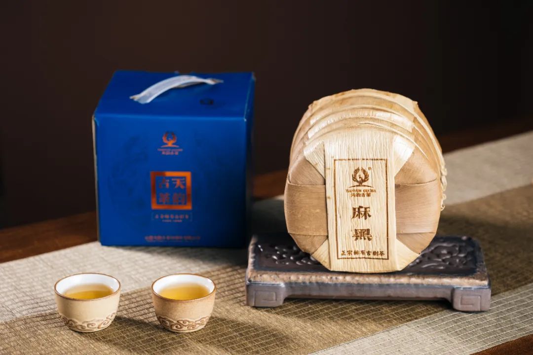 The Model of Yiwu Tribute Tea - Ma Hei - iNEWS