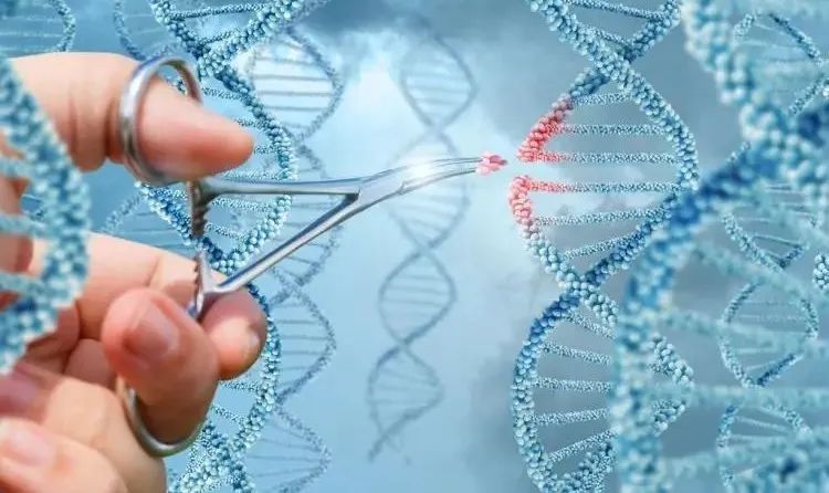 Fudan publishes genetic data of Chinese people abroad, foreign media ...