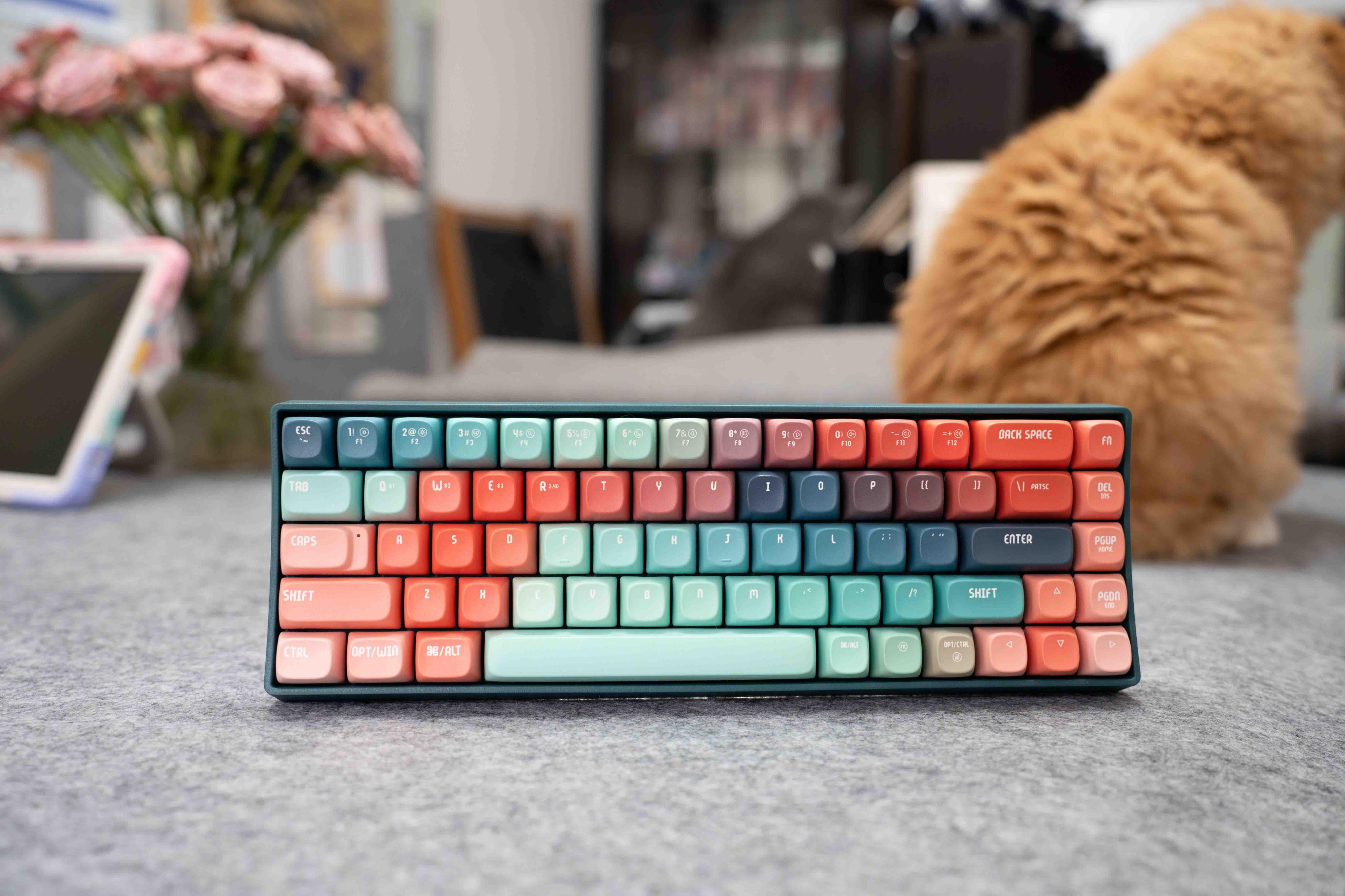 The koi are here! Good luck with you! Luofei Xiaoqiao Koi Three-mode ...