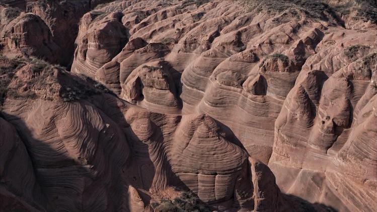 The tectonic evolution of the Ordos Basin, its importance to resource ...
