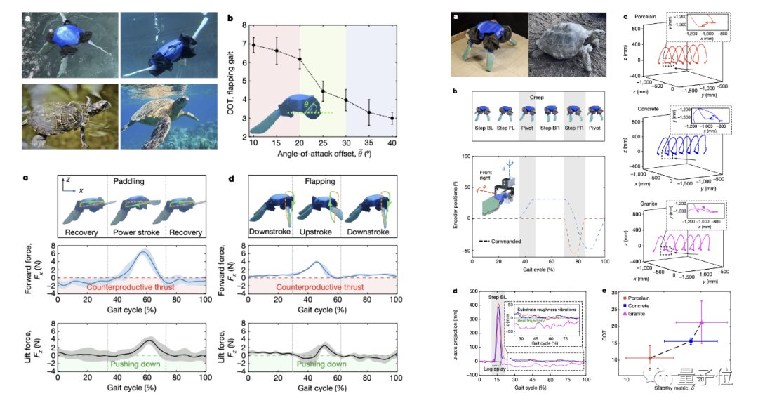 The "mermaid" robot on the cover of Nature: its limbs turn into ...