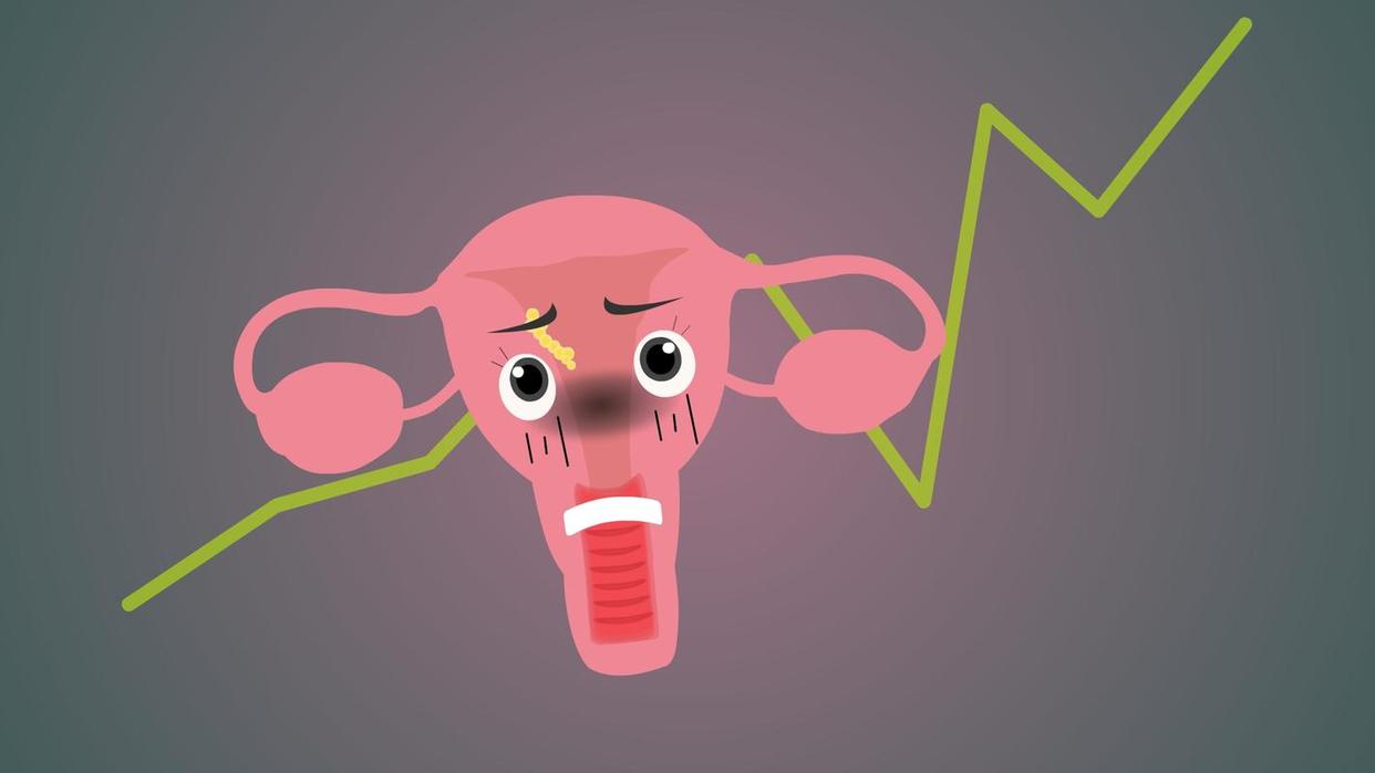 What is the difference between a woman without a uterus and a normal ...