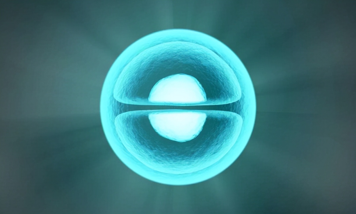 What is the role of inert ingredients in medicines? - iNEWS