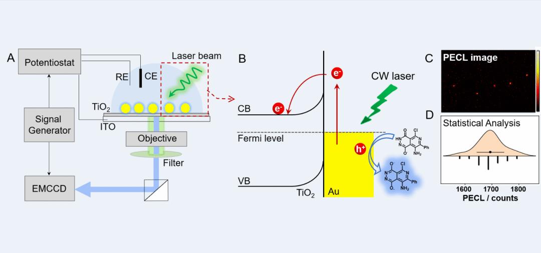 Shanghai University: Photoelectroluminescence imaging of plasmonic ...