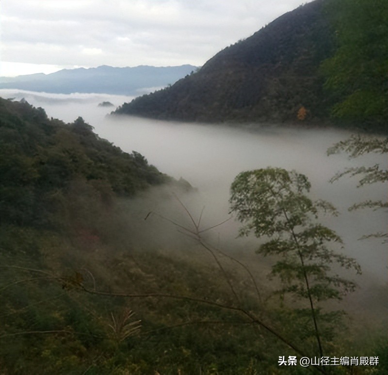 Looking at the feelings of mountain members (55) Zhisheng Gaoshan (Mountain Trail · Yang Jinwen ...