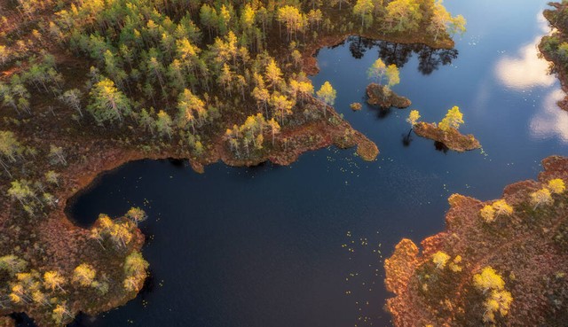 Popular Science: How Swamps Are Formed! - iNEWS
