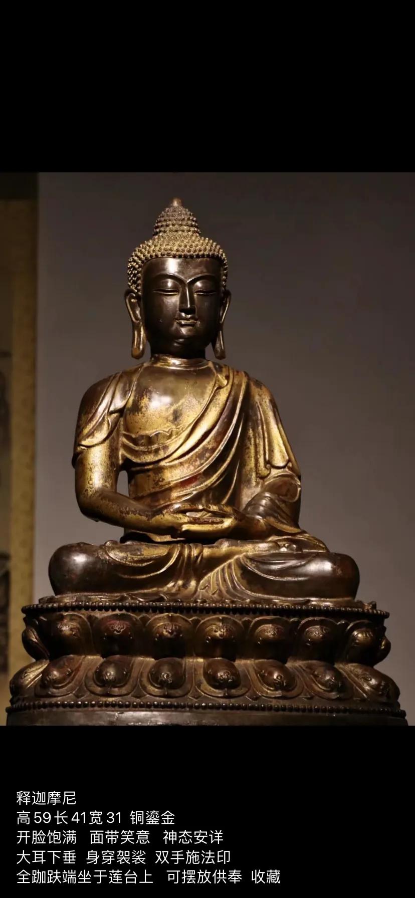 Sakyamuni - iMedia