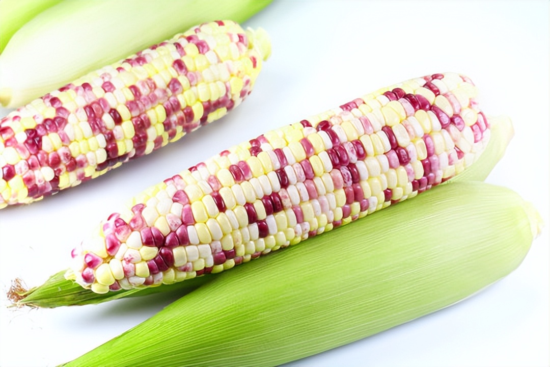 corn man in mexico - iNEWS