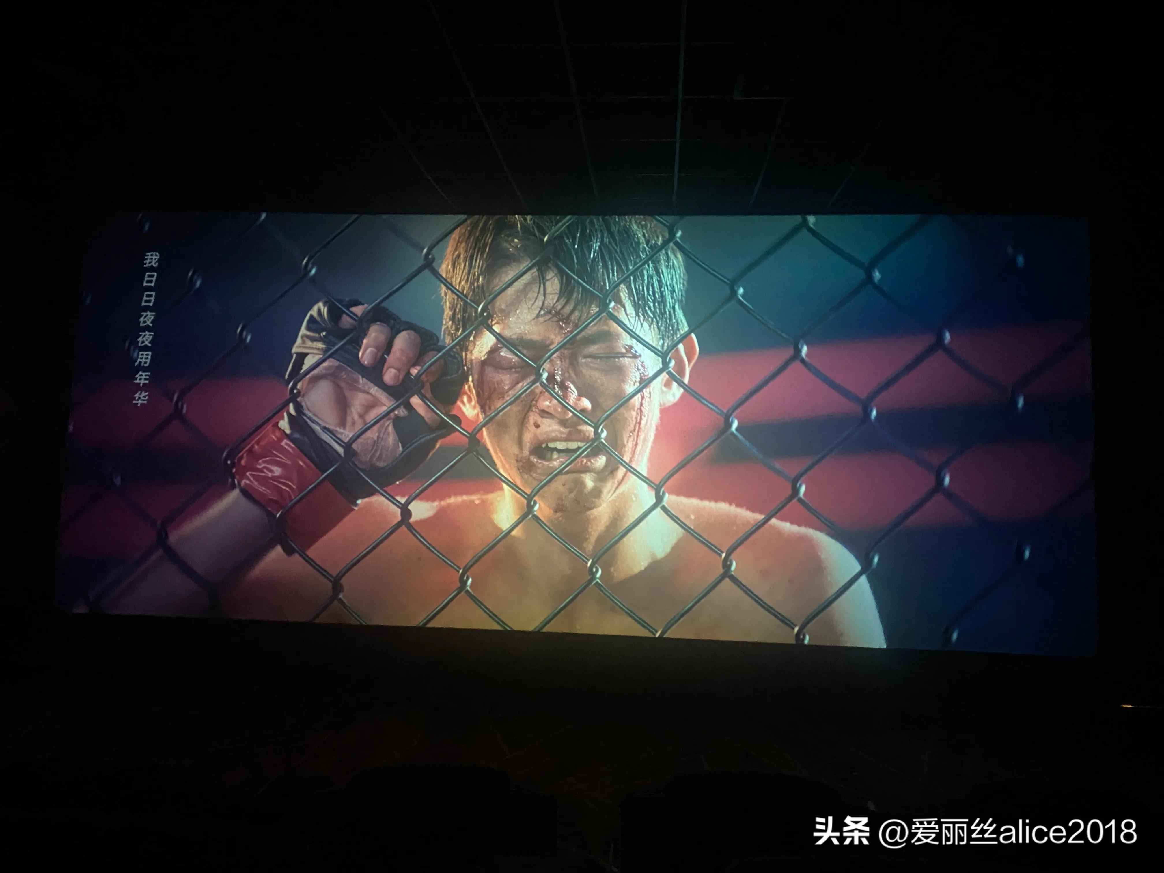 Real film critics in the octagonal cage are touching and tearful - iMedia