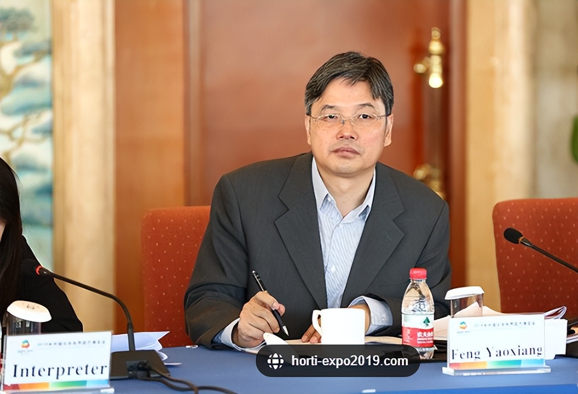 China trade promotion: Japan ranks first among RCEP visa countries for ...