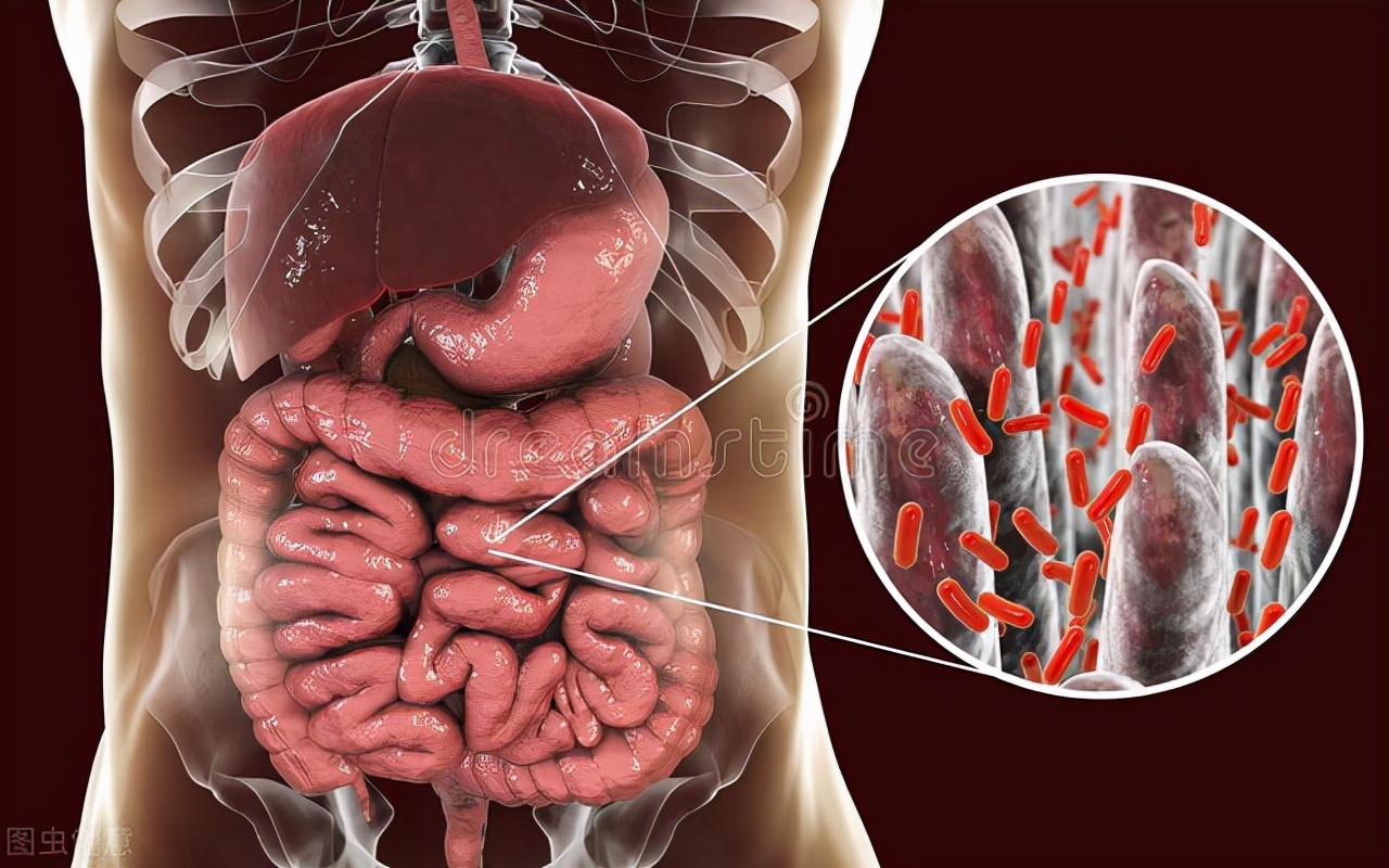 Skinny people often eat probiotics, can they gain weight?Nutritionist Chen Shuai tells you - iNEWS