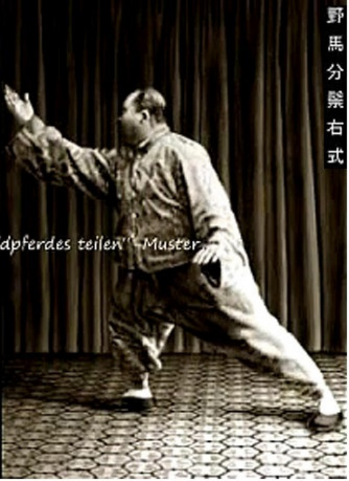 "The Complete Book of Taijiquan Bodywork"--edited by Yang Chengfu ...