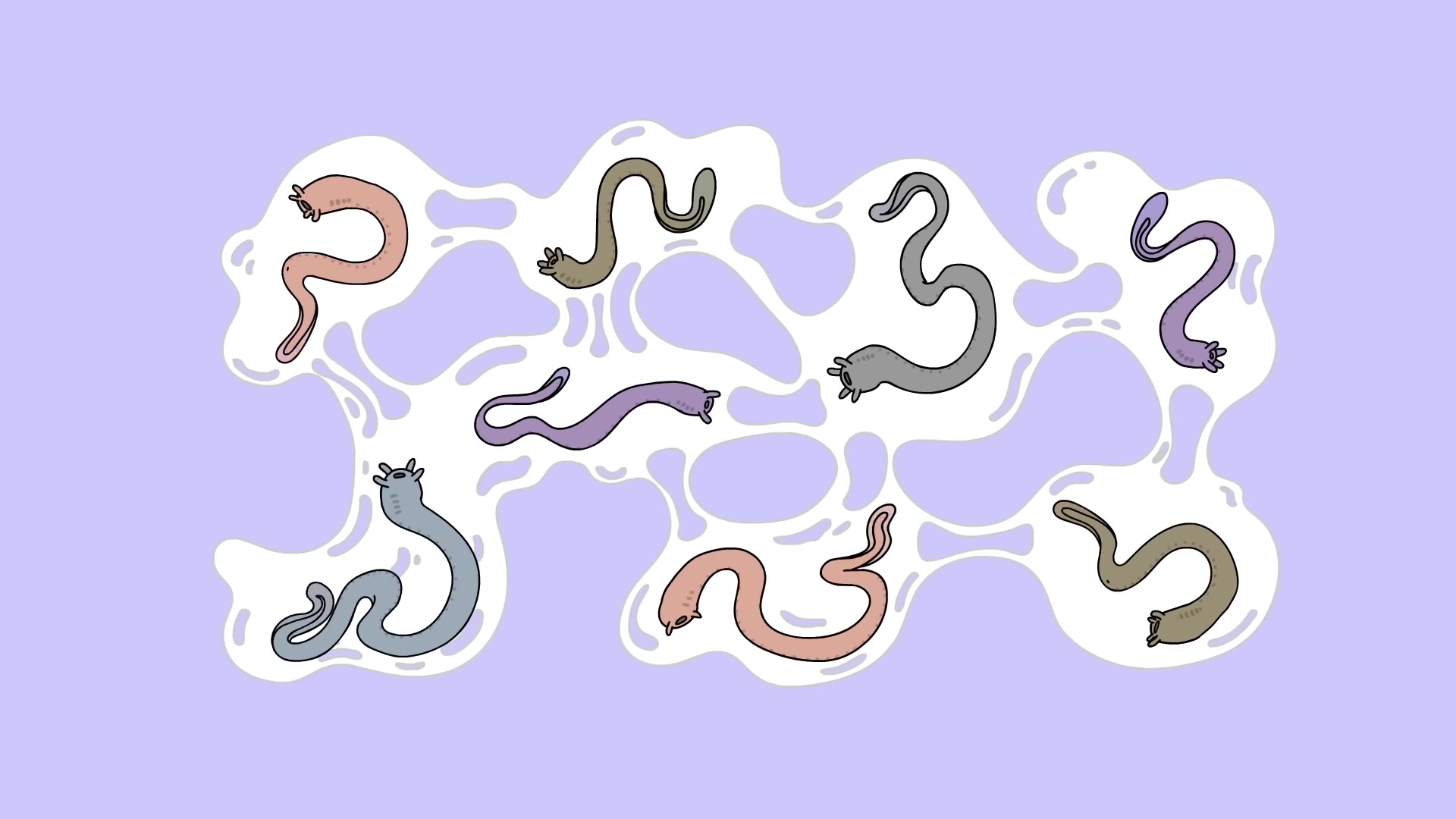 What is the stickiest animal in the world? - iNEWS