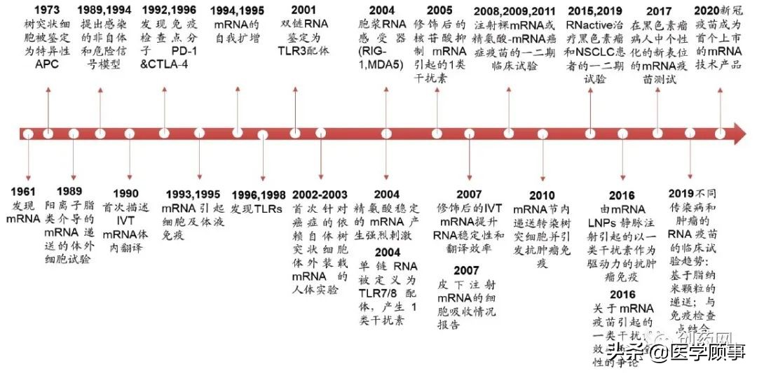 mRNA Technology Overview - iNEWS